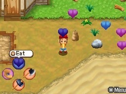 Test : Harvest Moon Sunshine Islands