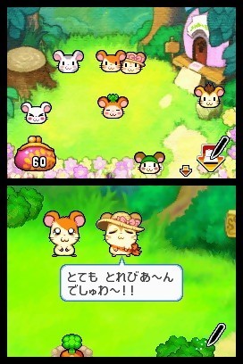 Hamtaro DS se découvre