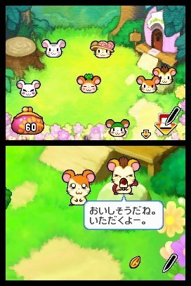 Hamtaro DS se découvre